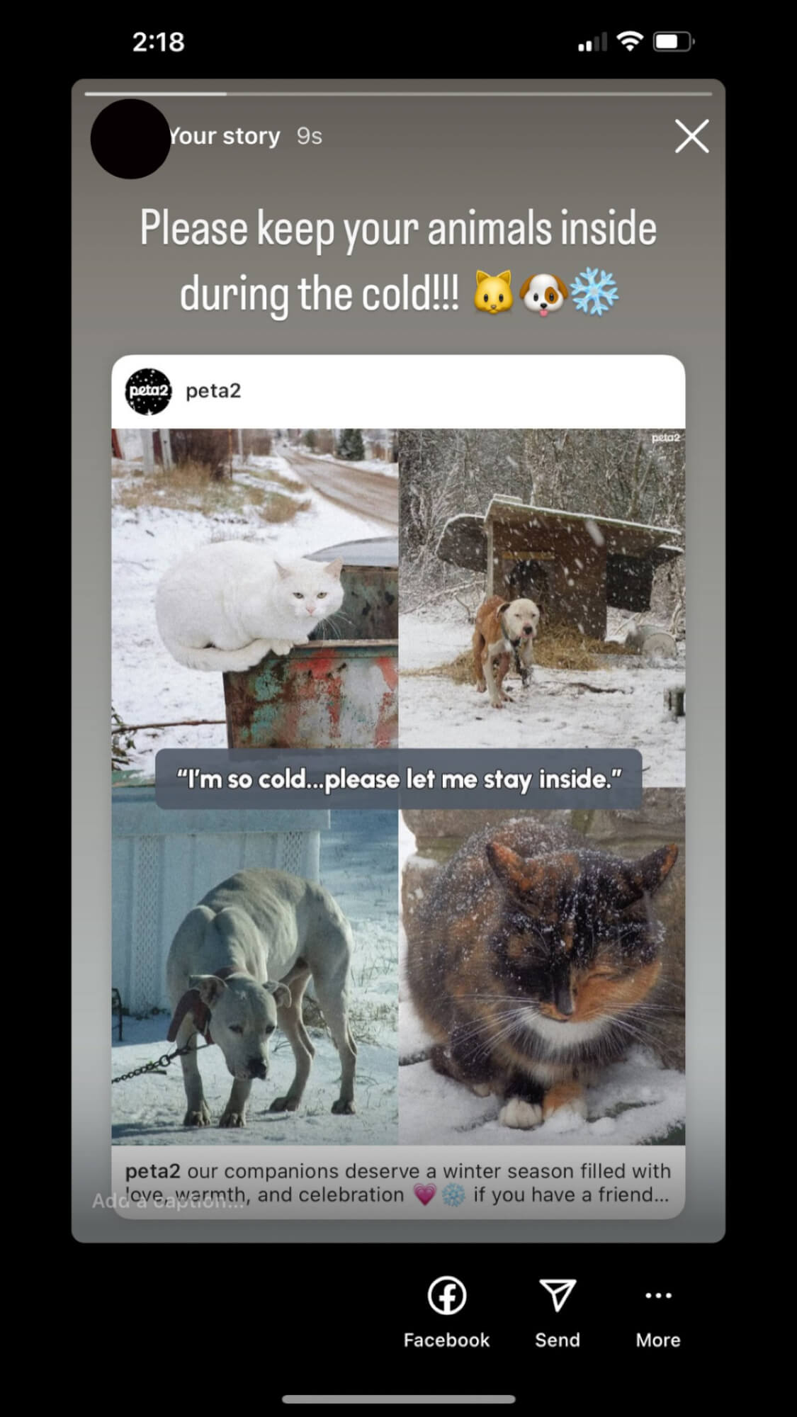 mission: save lives—bring cold animals indoors | peta2