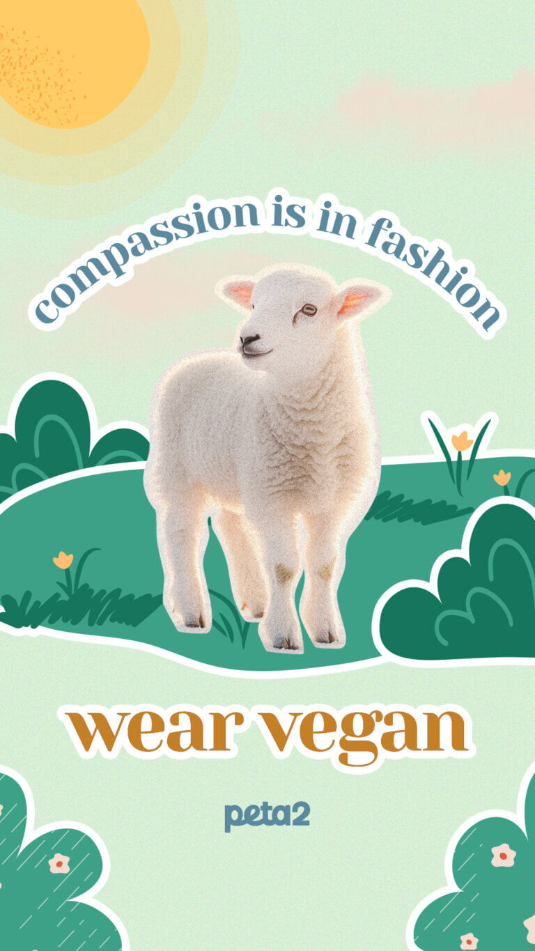 mission: use a wear your own skin wallpaper | peta2
