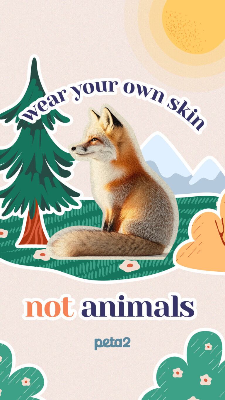 mission: use a wear your own skin wallpaper | peta2