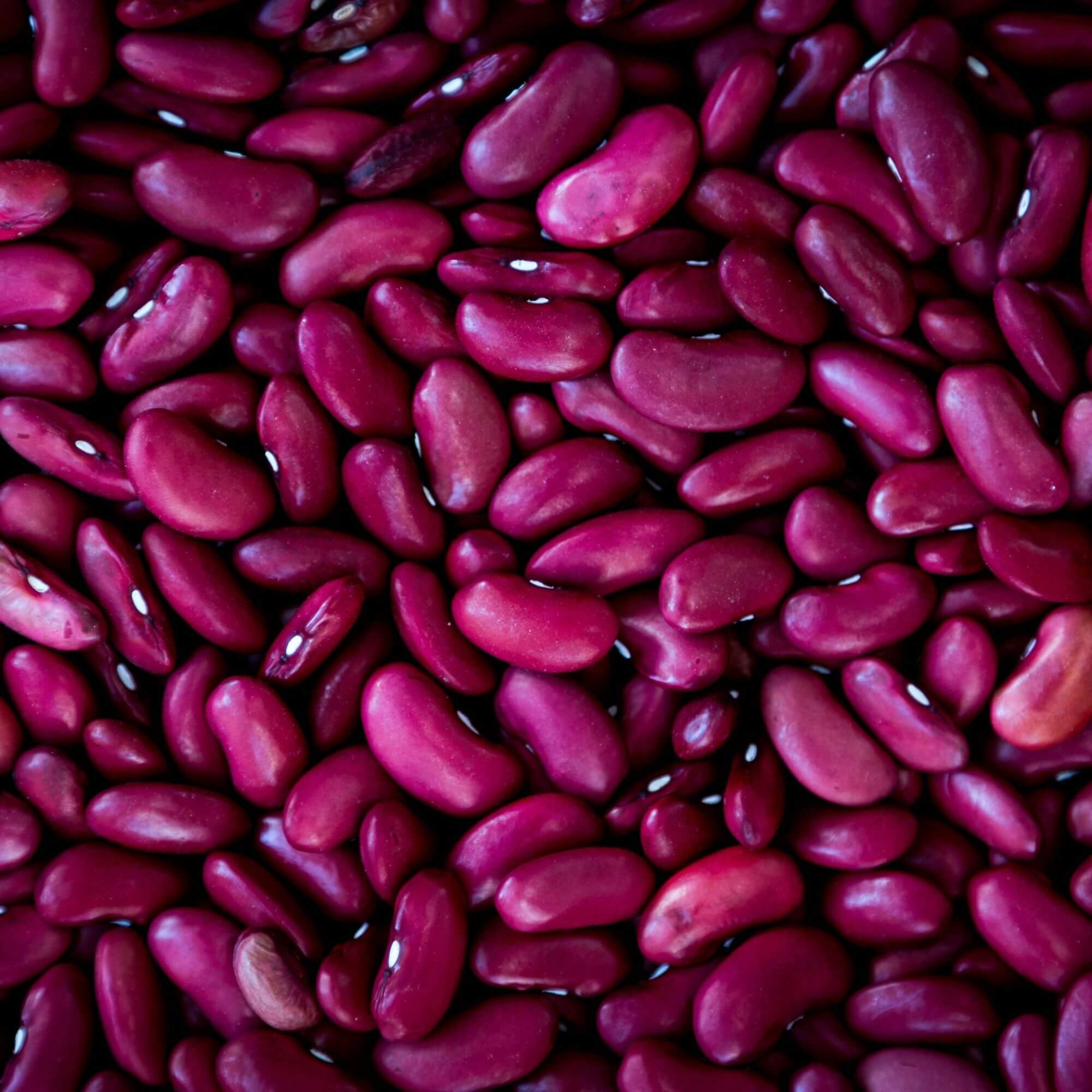 beans belong on your plate, not beings | peta2