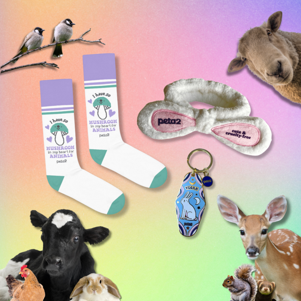 mission: take our peta2 experience survey | peta2