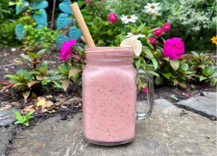 veggie snacks to fuel your advocacy | peta2