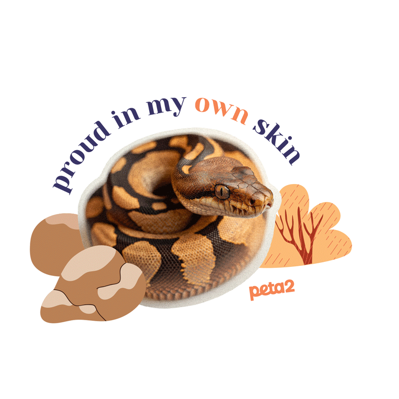 mission: use “wear your own skin” gifs | peta2