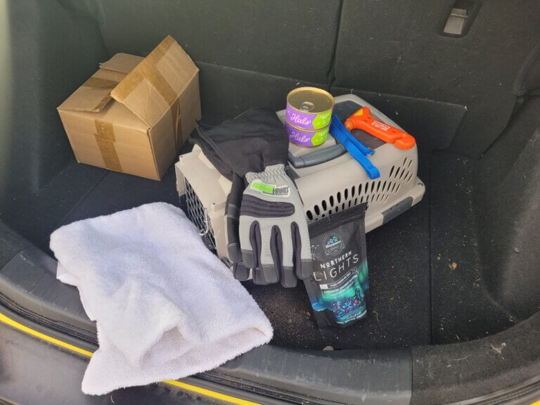 mission: make a diy animal emergency kit | peta2