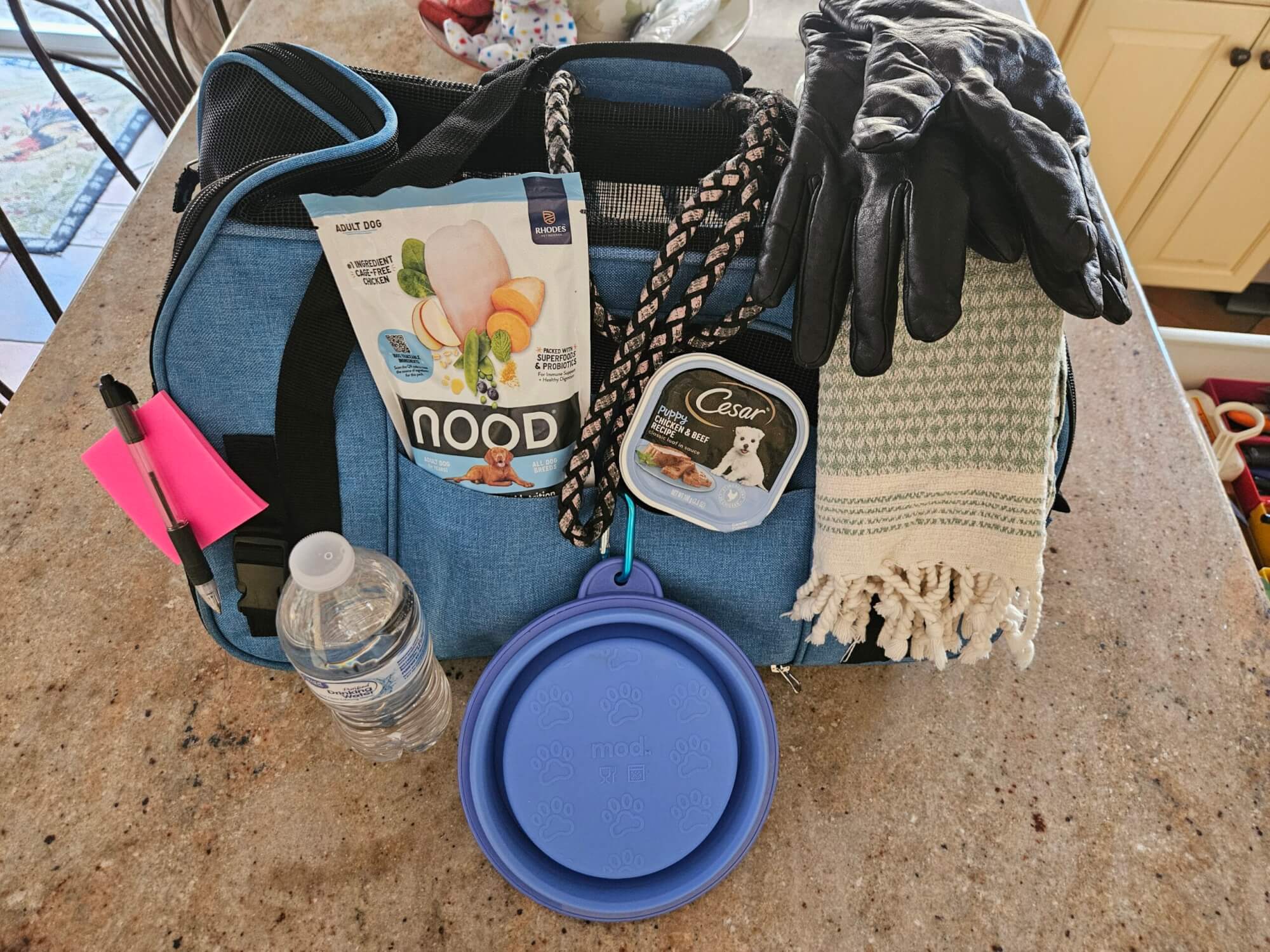 mission: make a diy animal emergency kit | peta2