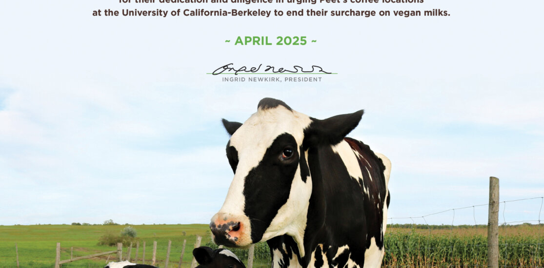 culture: animal rights through art, music, tv & more | peta2