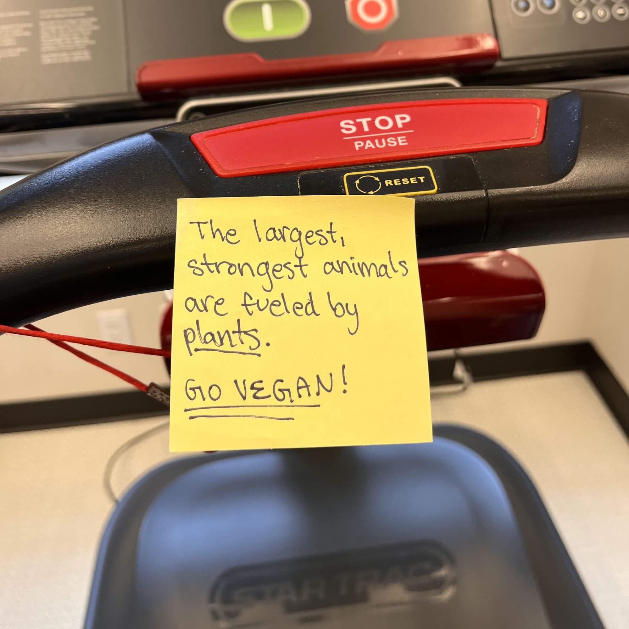 mission: use a gym note to show the vegan-fitness link | peta2
