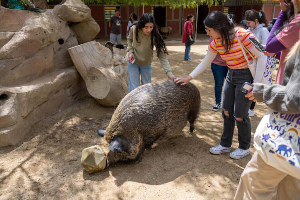 mission: text meal to 30933 for vegan meal ideas | peta2