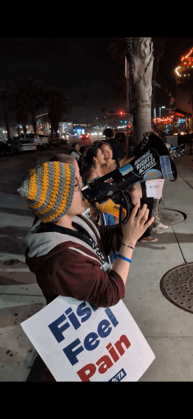 mission: help end goldfish racing at this bar | peta2