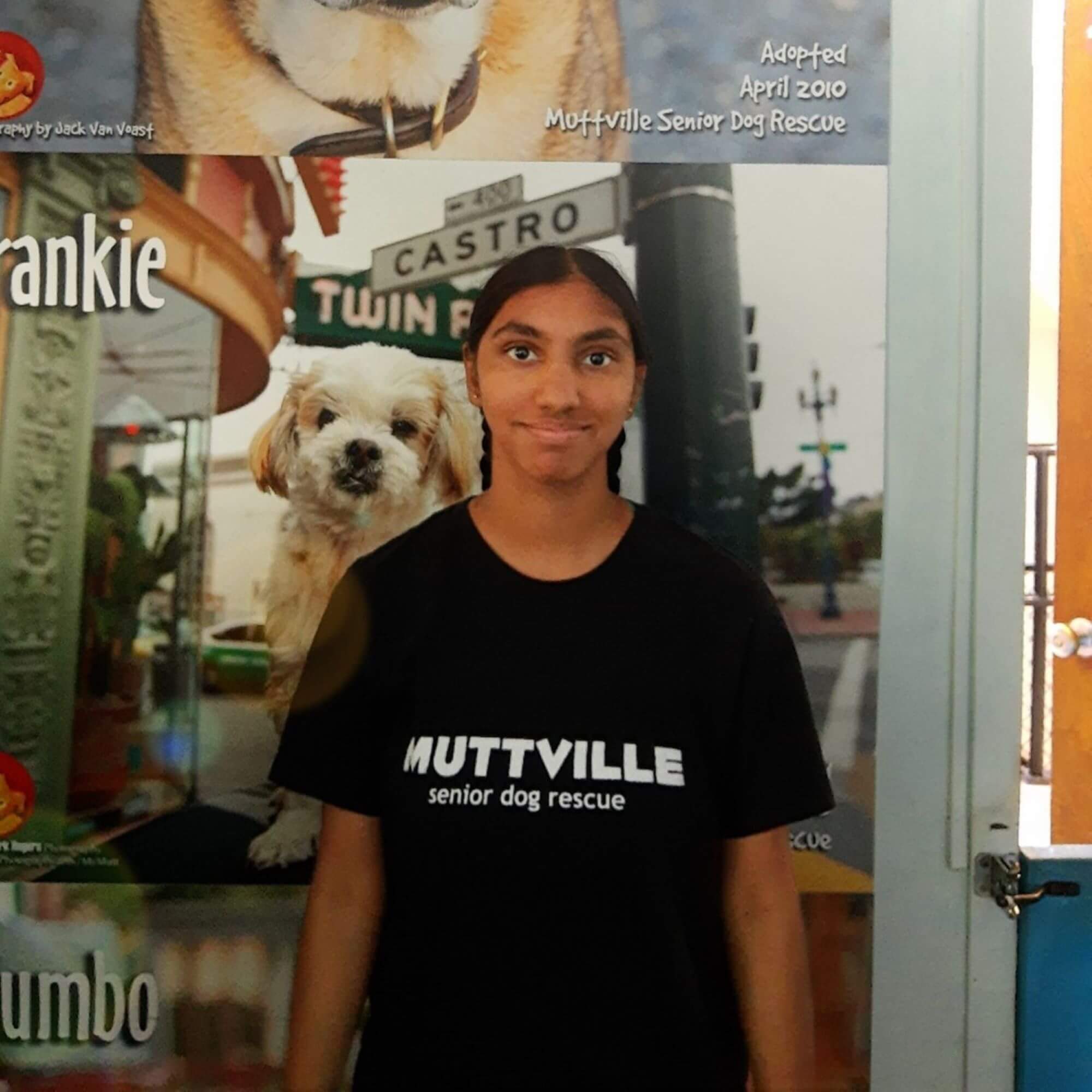 senior dogs deserve our respect | peta2