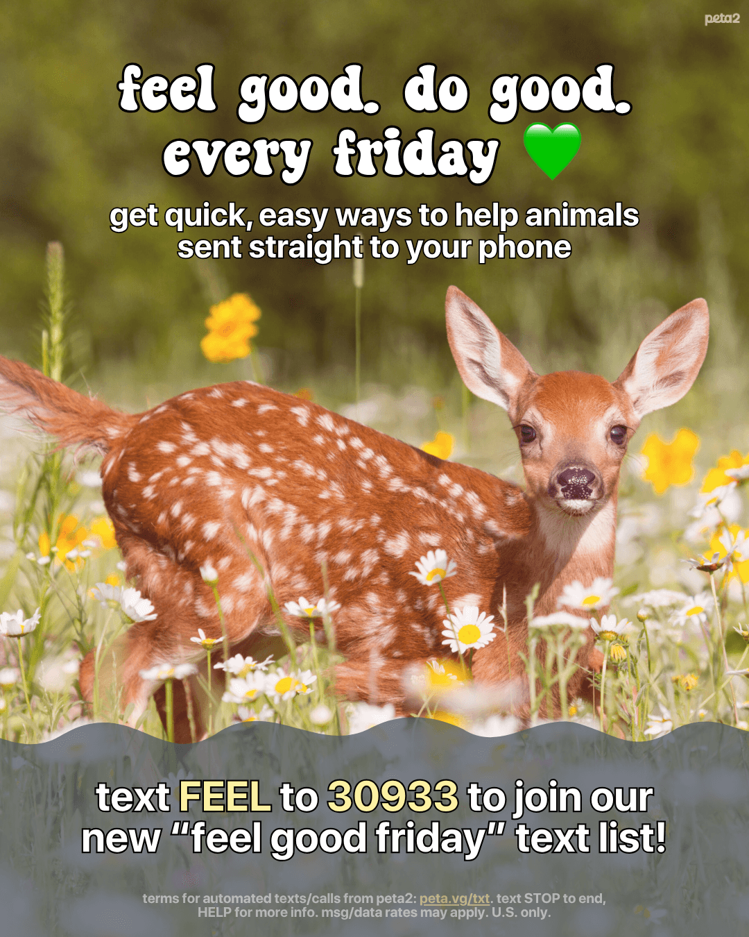 mission: sign up for feel-good friday texts | peta2