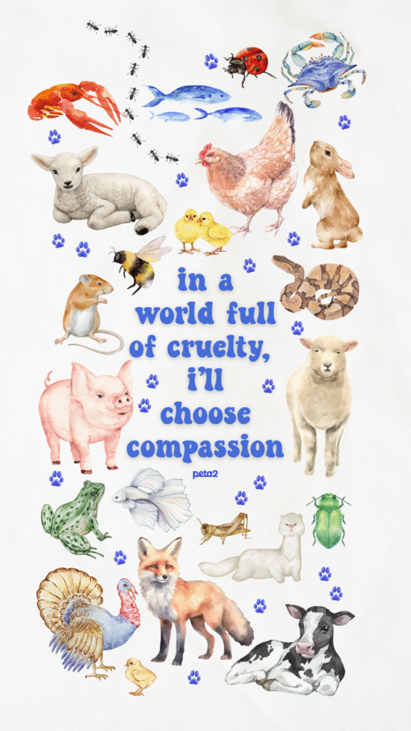 mission: set up this ‘choose compassion’ wallpaper | peta2