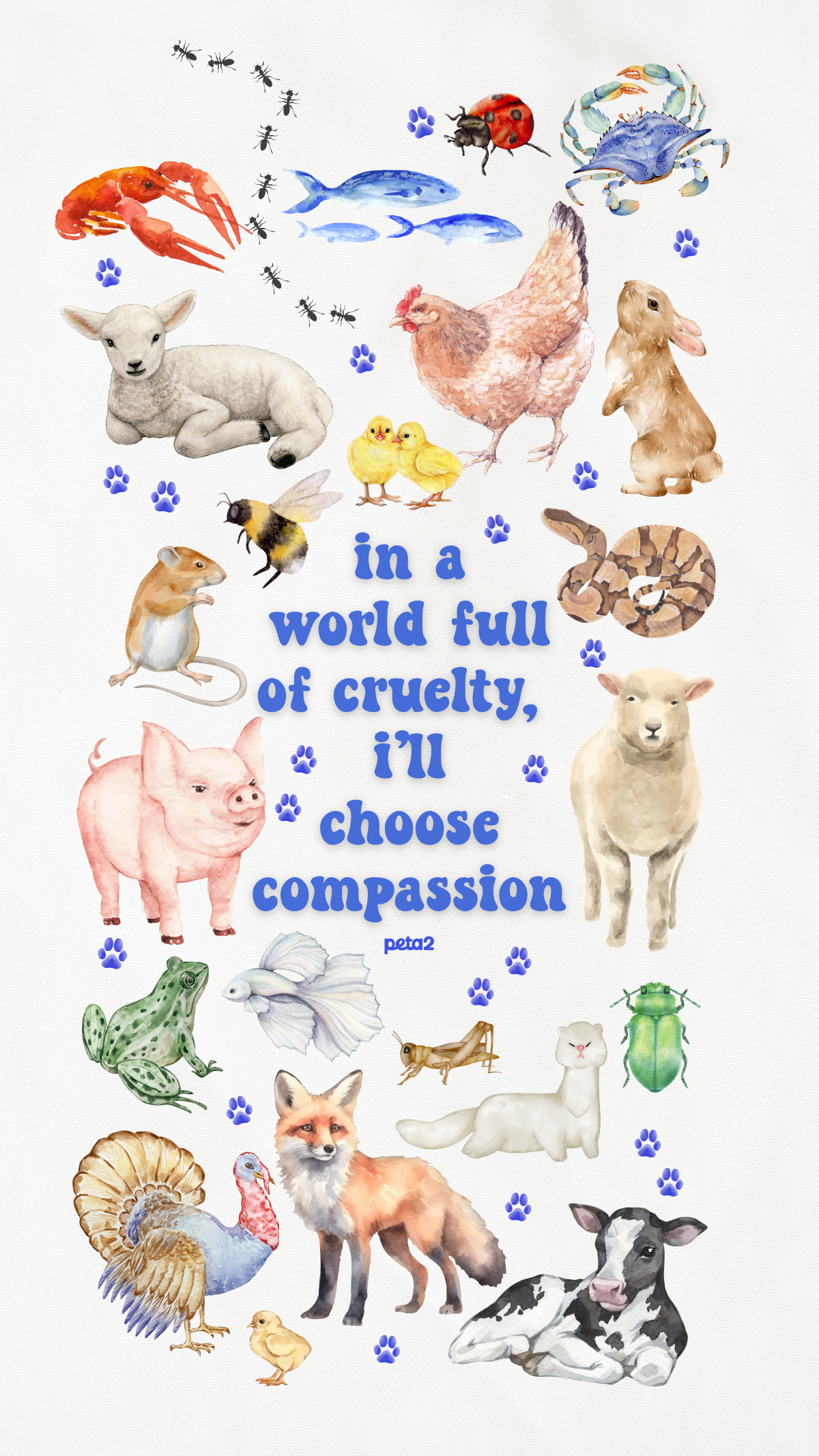mission: set up this ‘choose compassion’ wallpaper | peta2