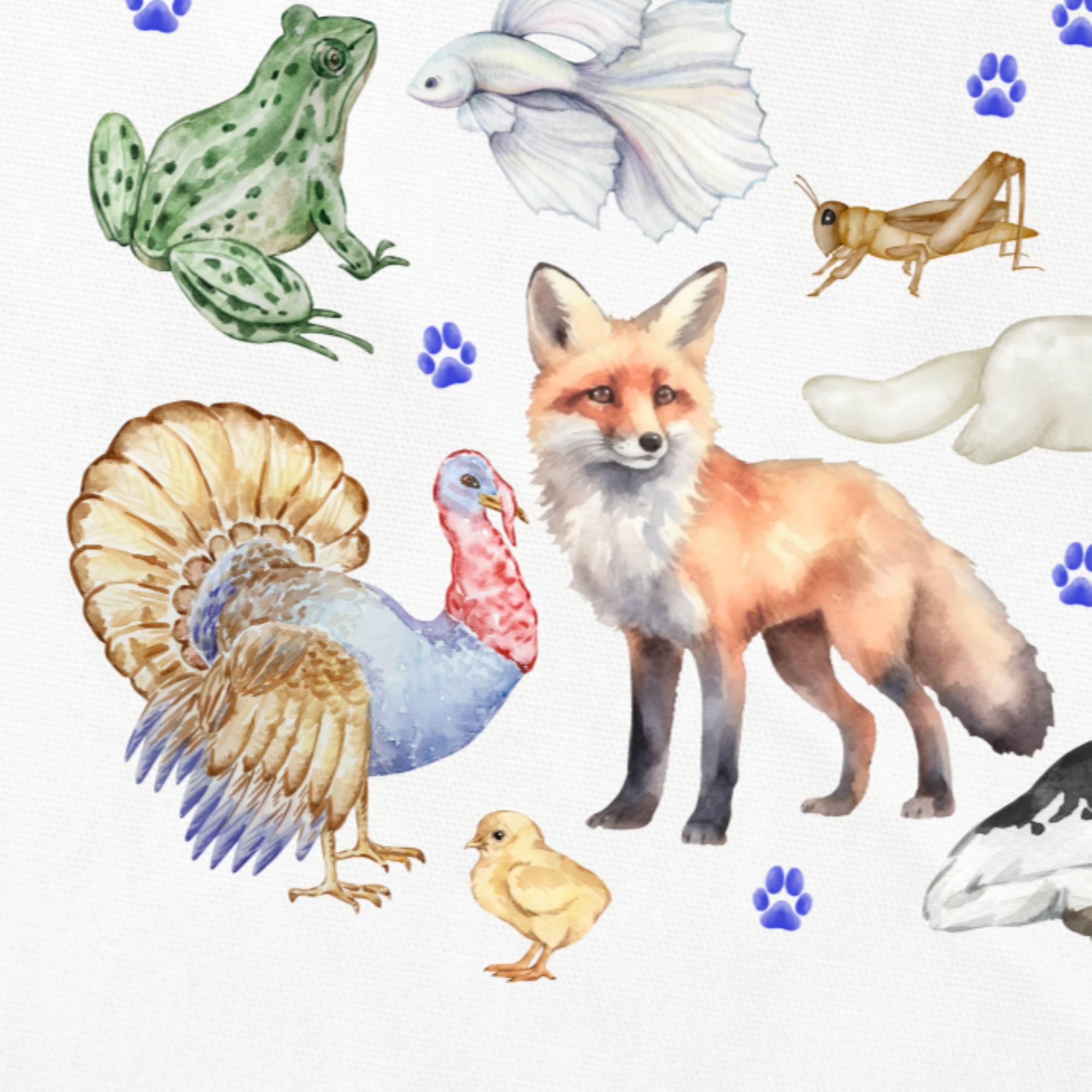 mission: set up this ‘choose compassion’ wallpaper | peta2