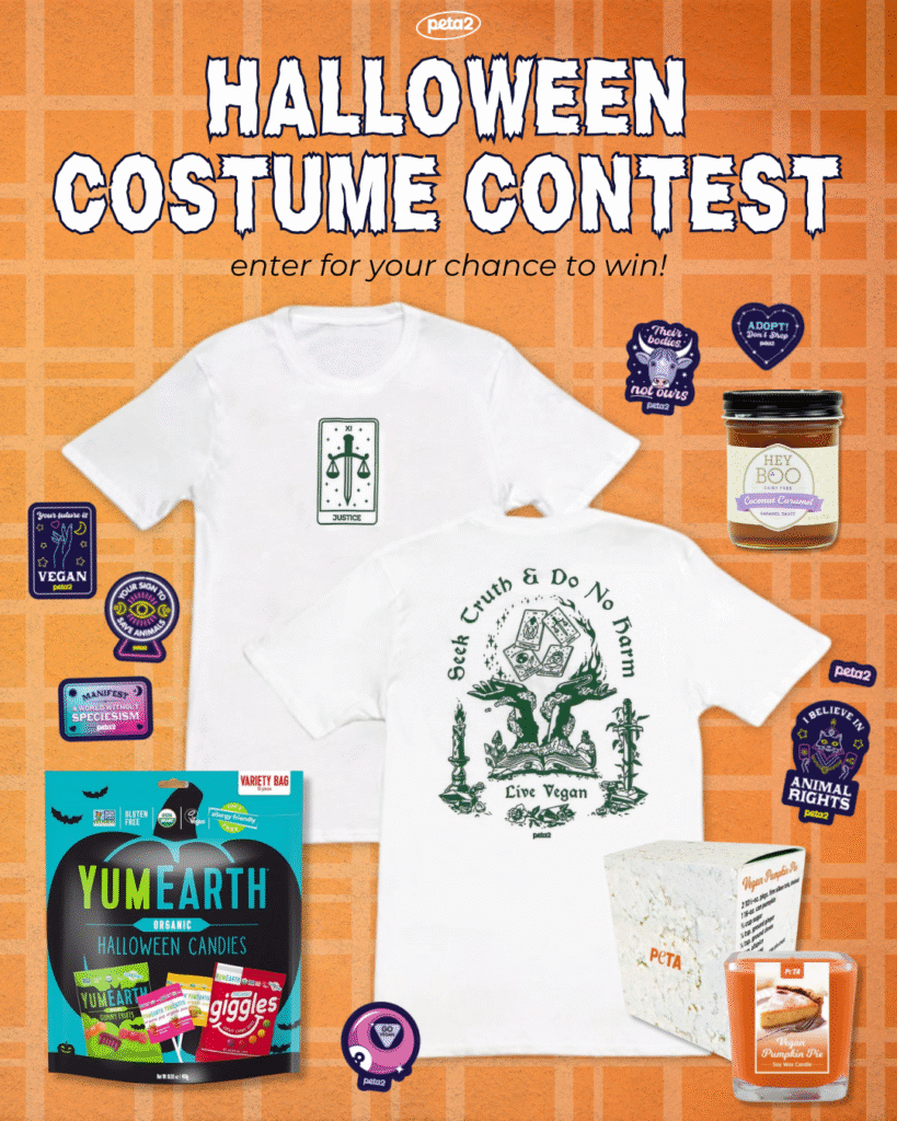 mission: take part in our halloween costume contest! | peta2