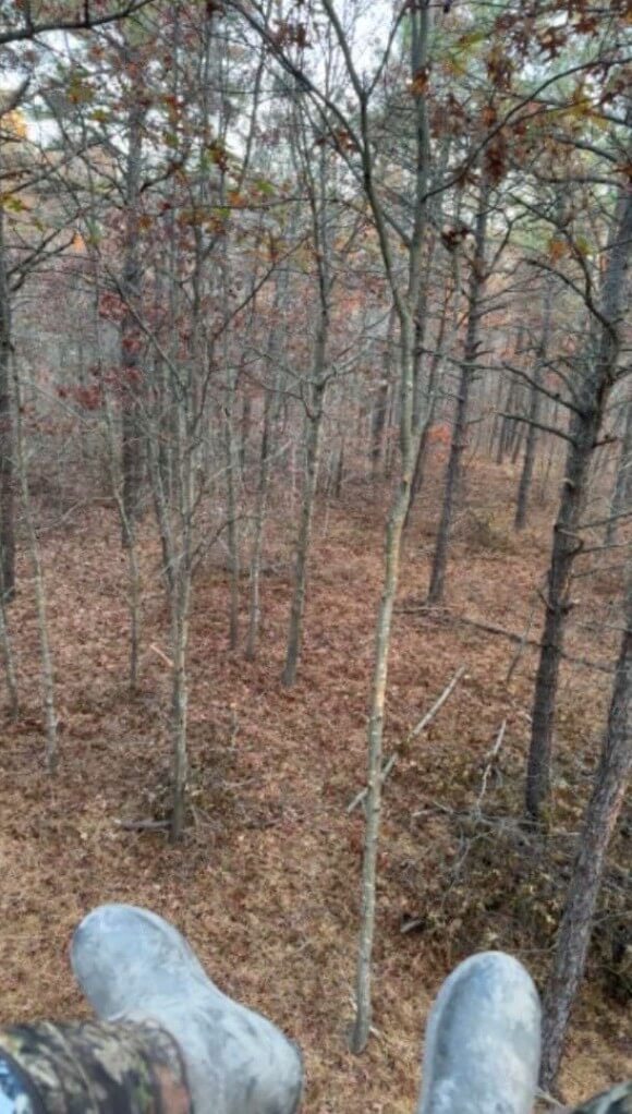 my personal hunting story | peta2