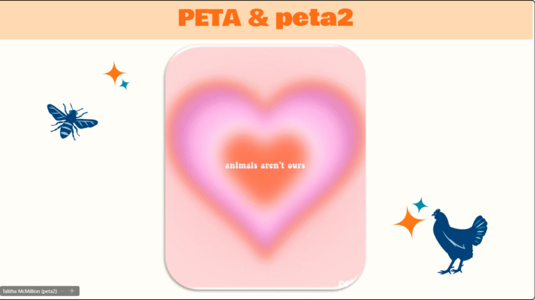 host a peta2 virtual presentation | peta2