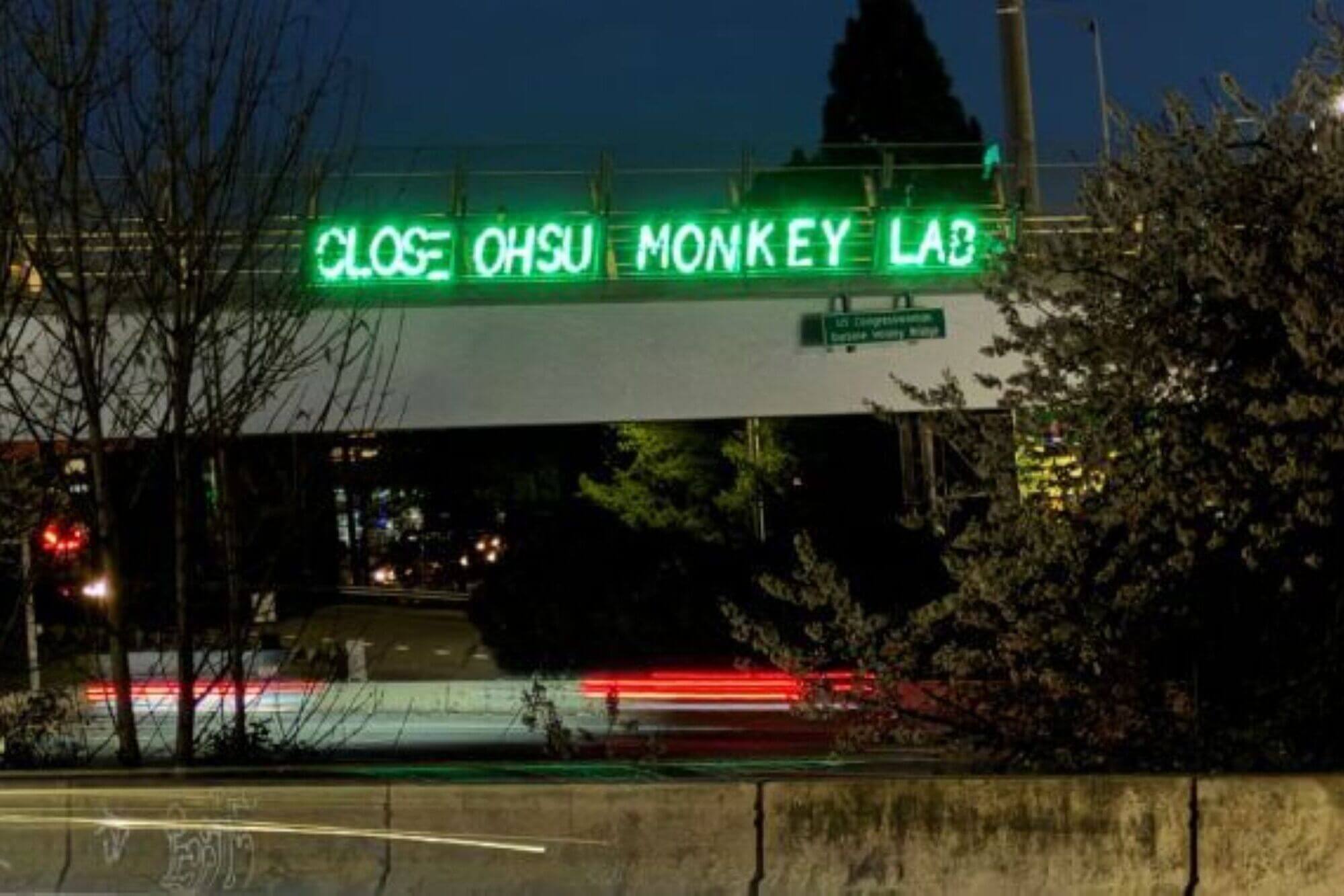 oregon primate center to negotiate end to experiments! | peta2